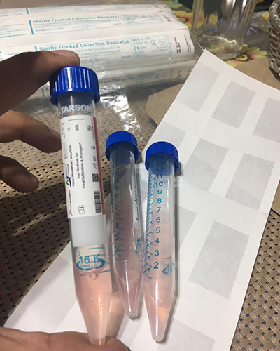 VTM Kit-original - Avience Biomedicals Limited